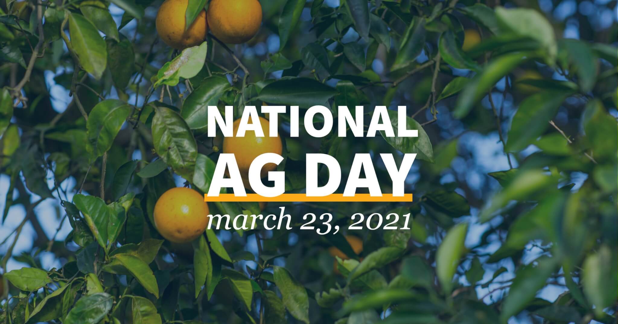National Ag Day 2021 | Central Florida Development Council